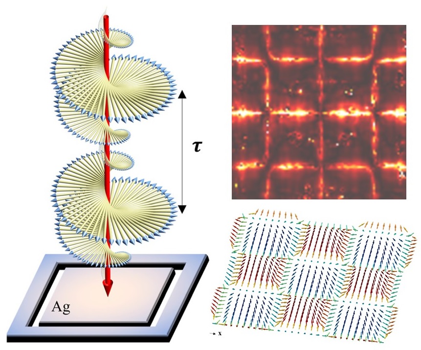 APR: Plasmonic meron lattice