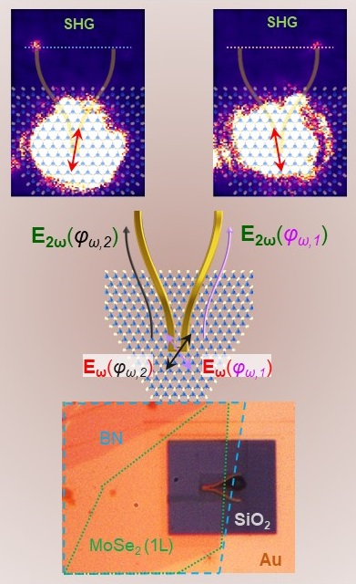 Nature Communications: selective-routing of TMD-SHG in a plasmonic circuit